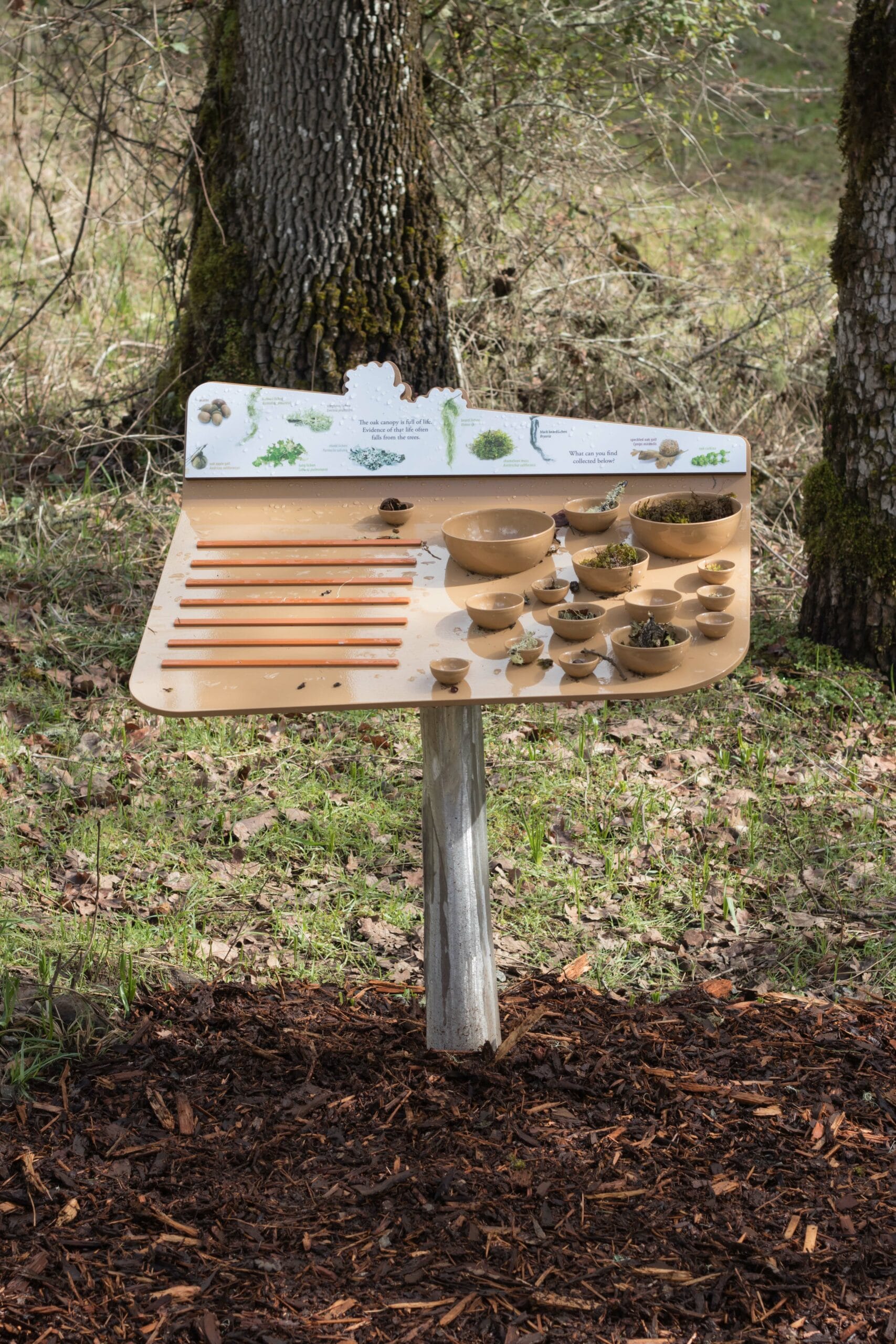 Nature Exhibits – Mount Pisgah Arboretum