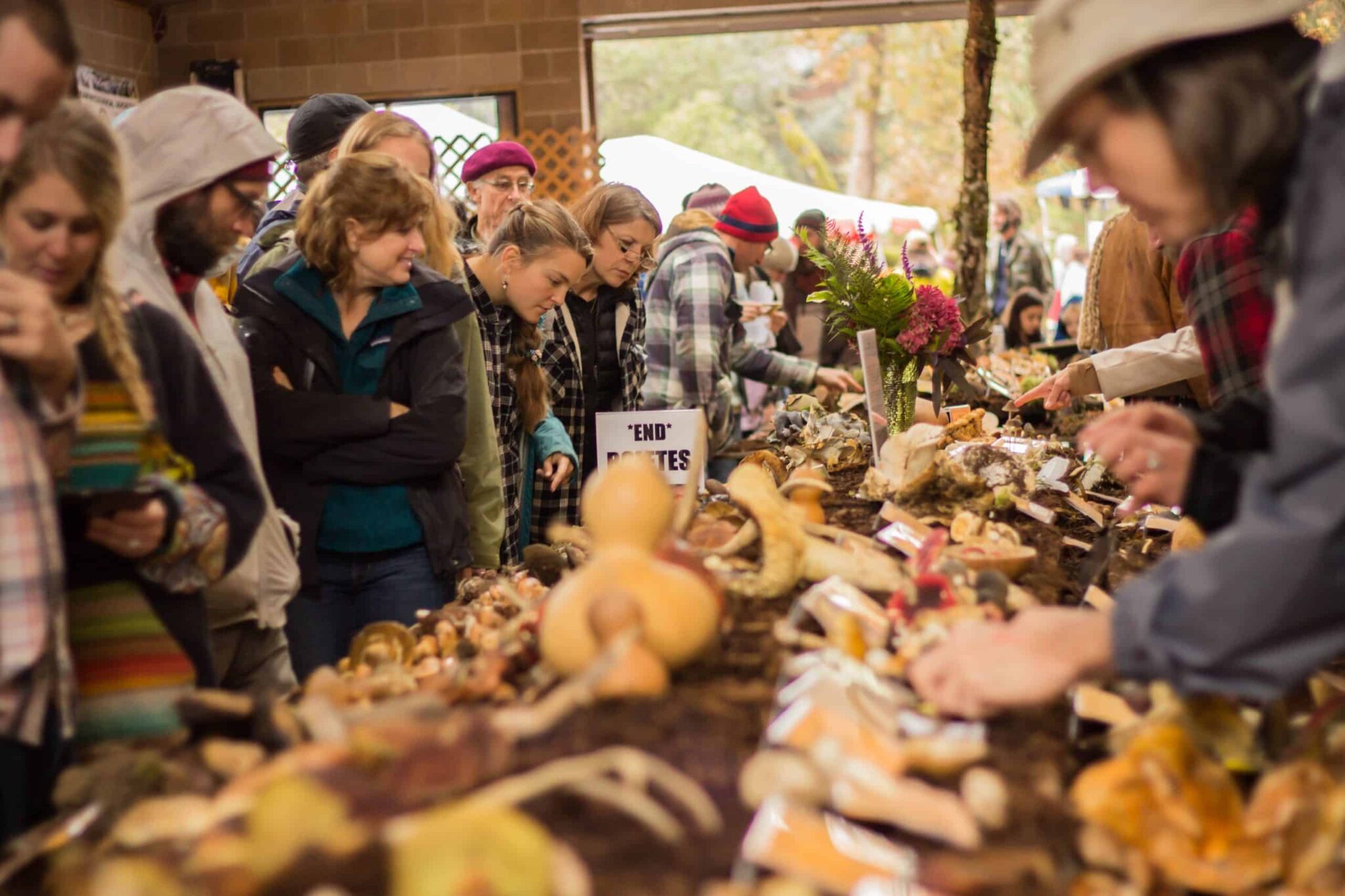 Mushroom Festival – Mount Pisgah Arboretum